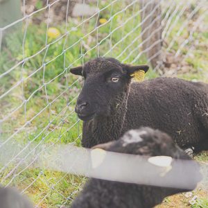 Notre Histoire - Grisel